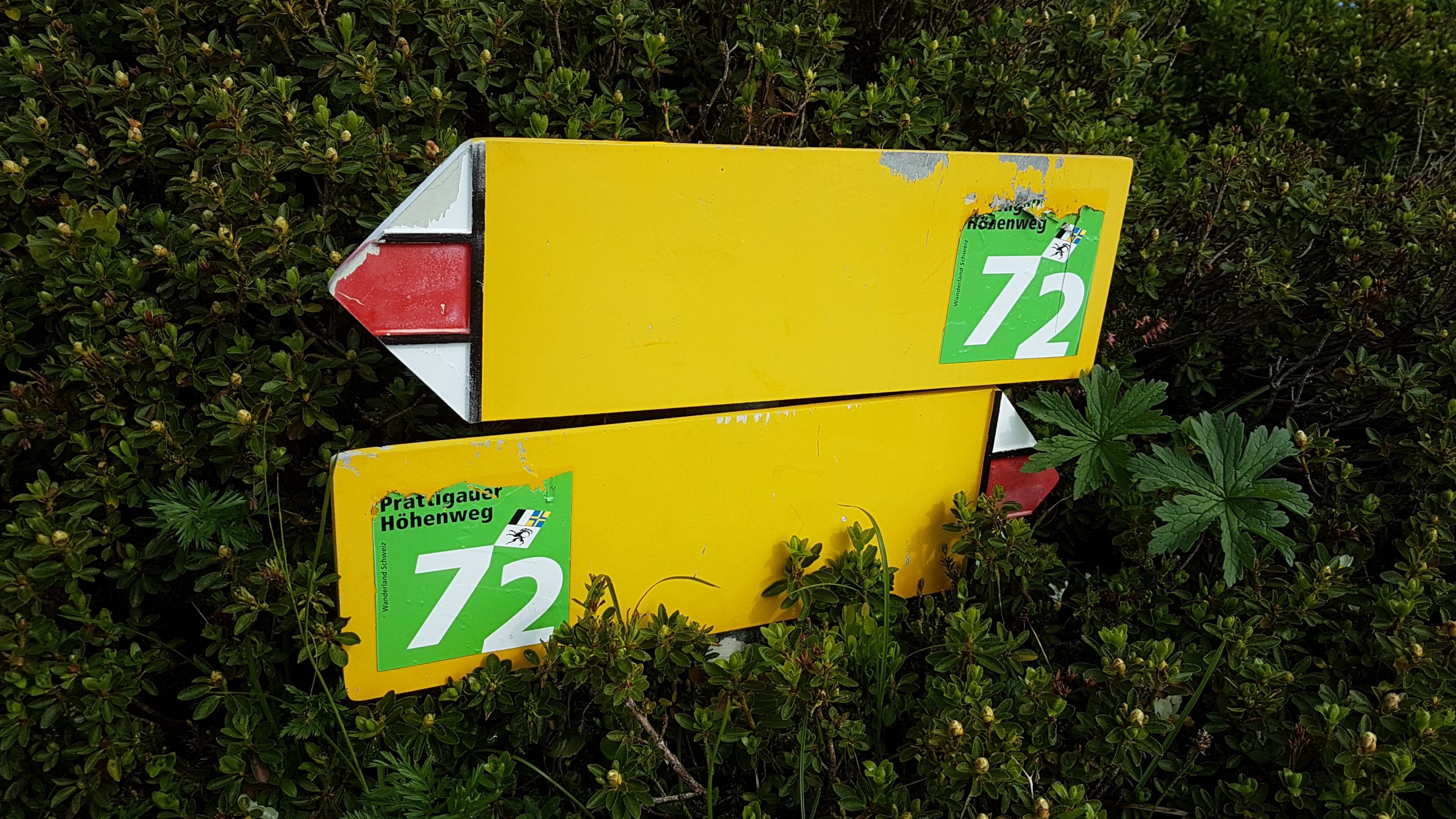 Prättigauer Höhenweg – schöner kann Hüttenwandern nicht sein! – Sektion ...